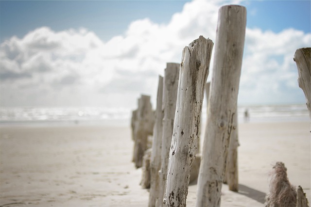 Madera Publicaciones Playa - Foto gratis en Pixabay - Pixabay