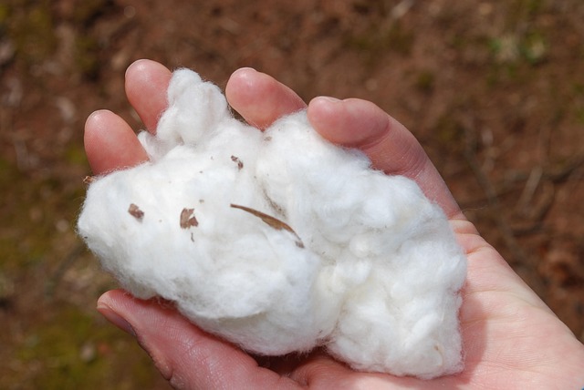 Cotton Farm Fluffy - Free photo on Pixabay