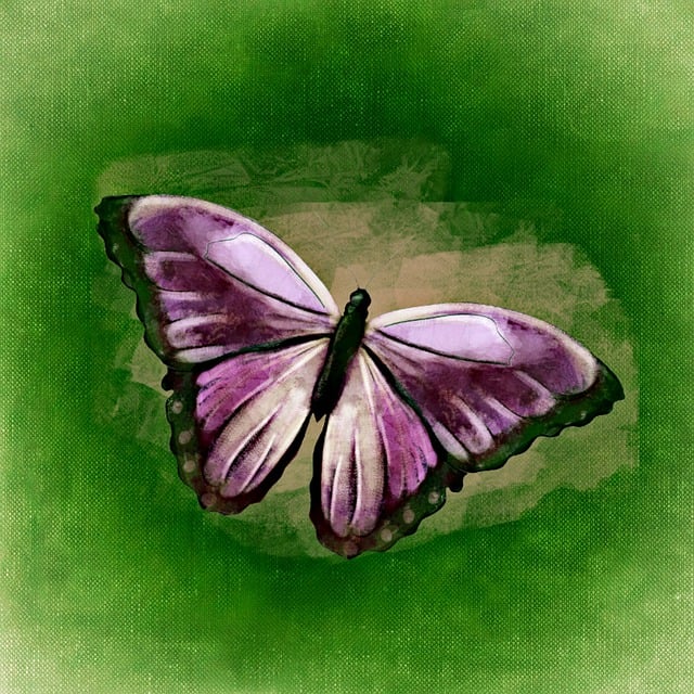 Papillon Insecte En Volant - Image gratuite sur Pixabay - Pixabay