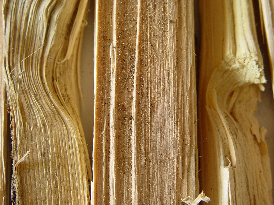 Firewood Wood Log Timber - Free photo on Pixabay - Pixabay