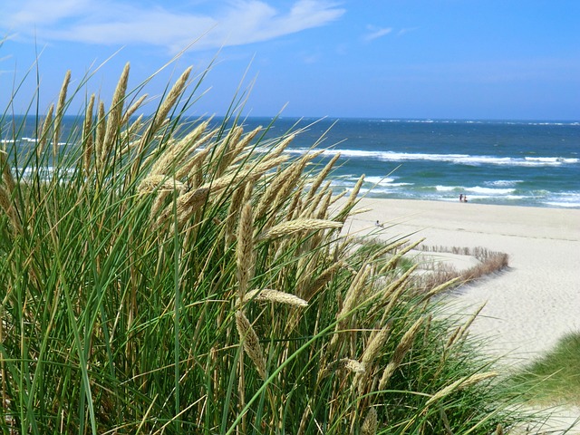 Sylt Playa Alemania - Foto gratis en Pixabay - Pixabay