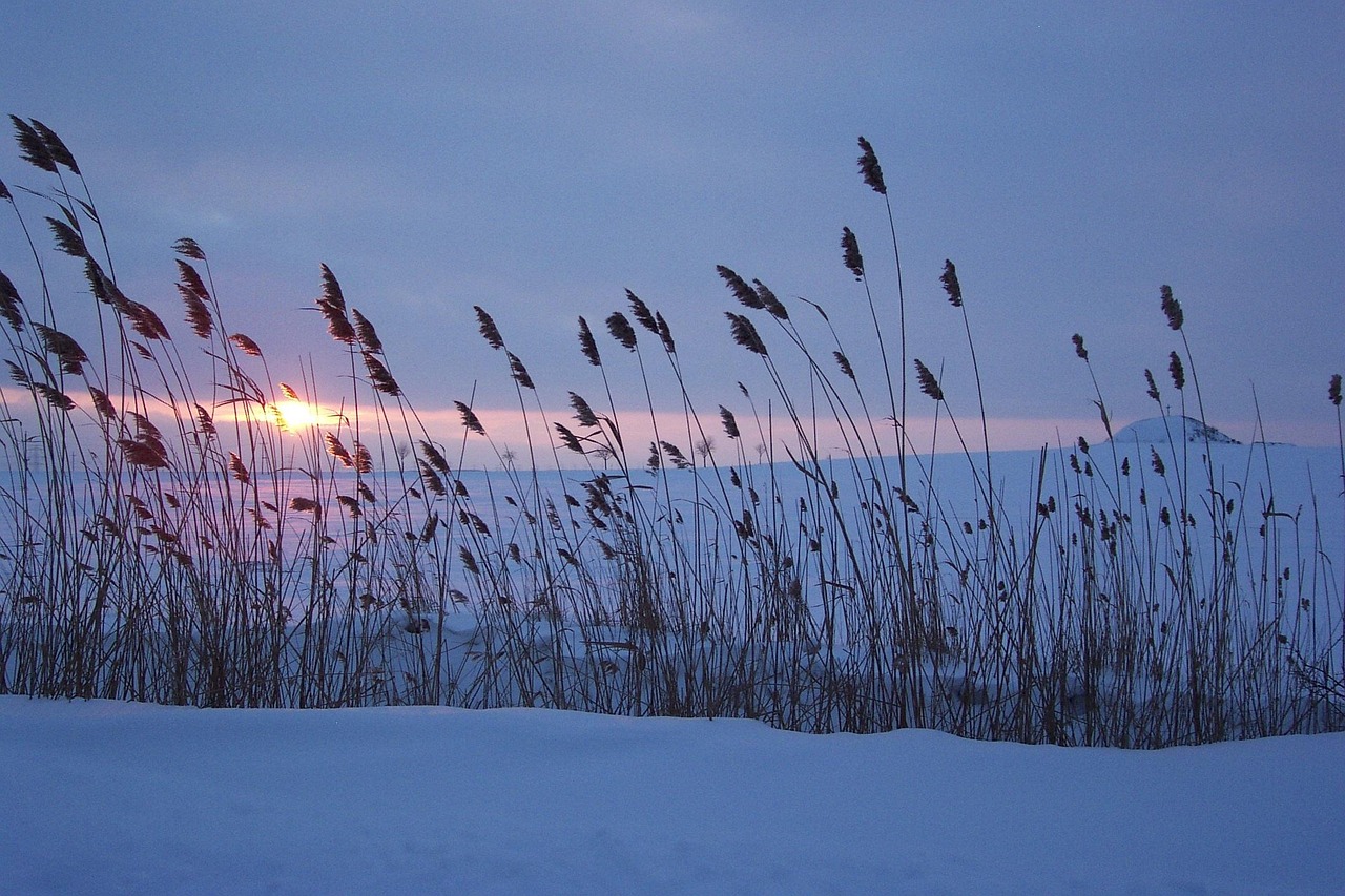 Invierno Nieve Atardecer Ambiente - Foto gratis en Pixabay - Pixabay