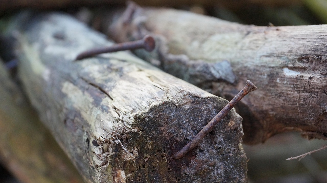 Wood Nails Macro - Free photo on Pixabay - Pixabay