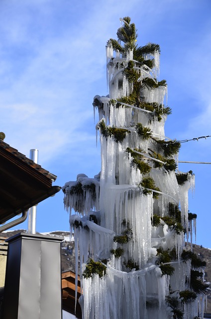 Ice Christmas Tree Spruce - Free photo on Pixabay