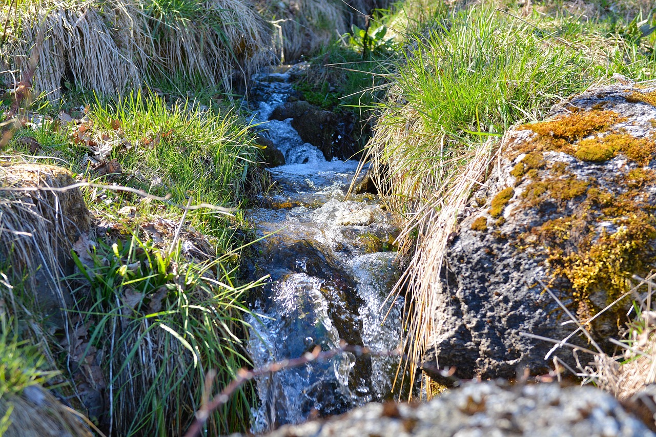 Arroyo Corriente Natural - Foto gratis en Pixabay - Pixabay
