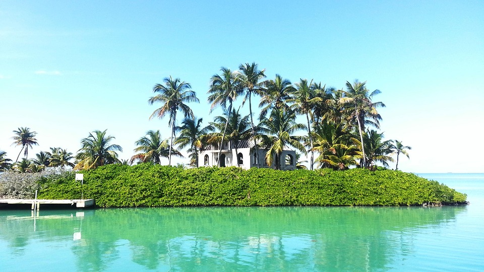 Island Tropical Palm - Free photo on Pixabay - Pixabay