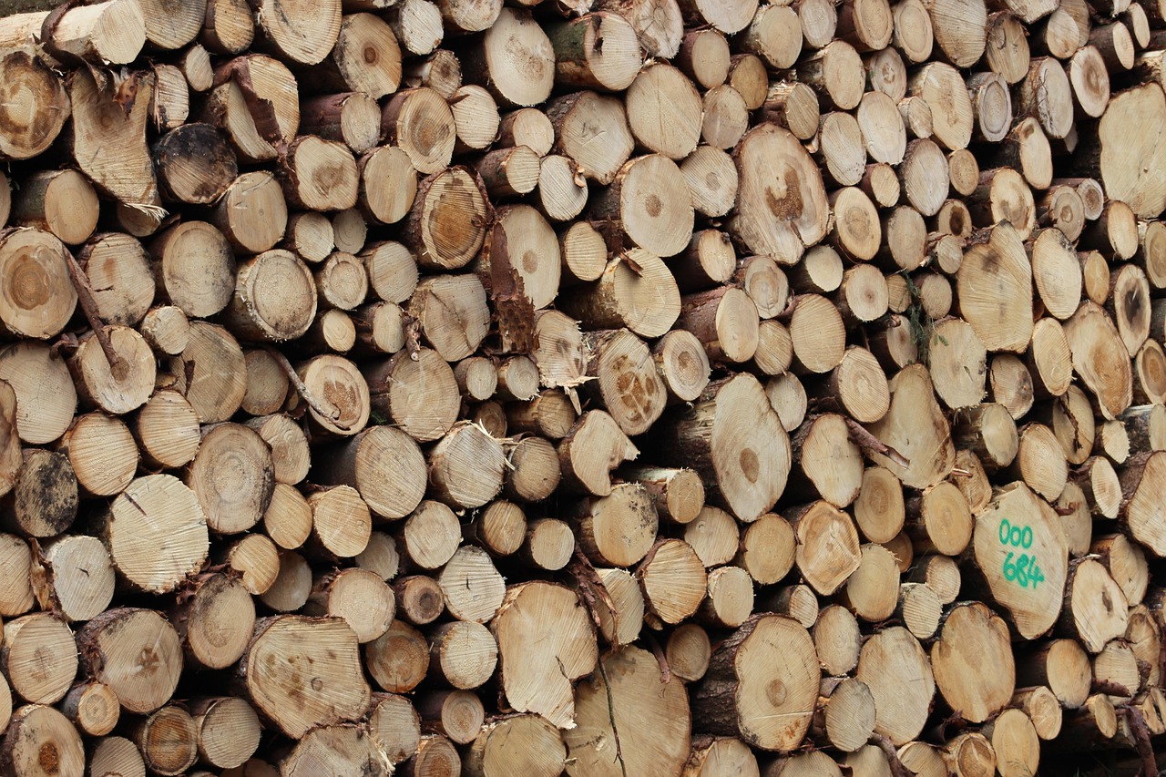 Wood Tree Trunk Tribes - Free photo on Pixabay - Pixabay