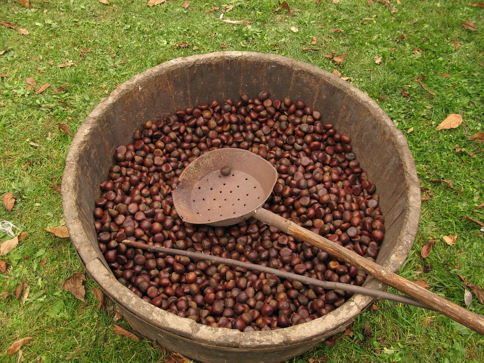 Chestnut Festival Tradition - Free photo on Pixabay - Pixabay