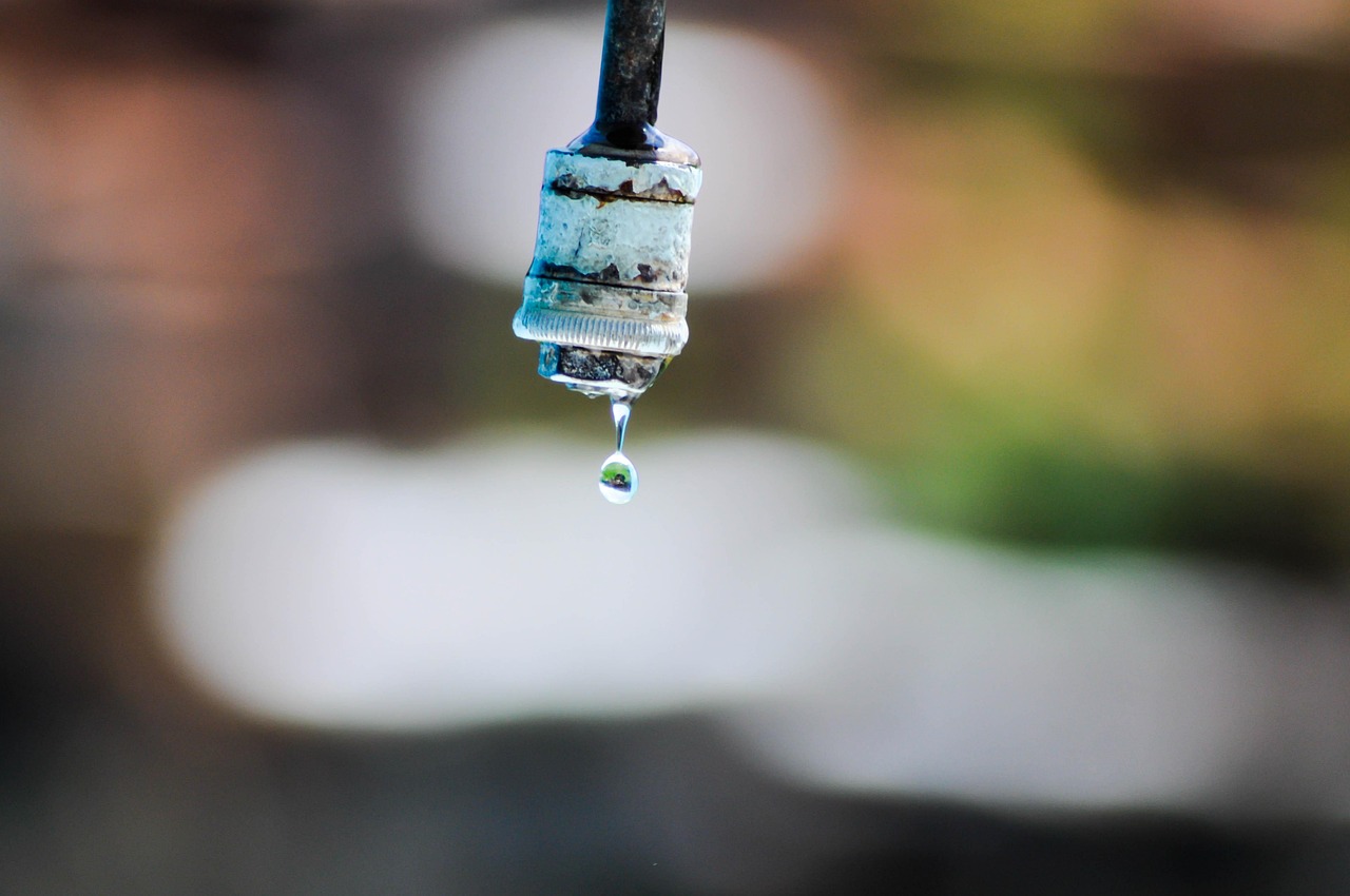 40,000+ Free Water Shortage & Nature Images - Pixabay
