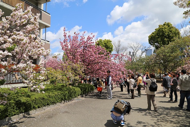 Page 4 - 20,000+ Free Japan People & Japan Images - Pixabay