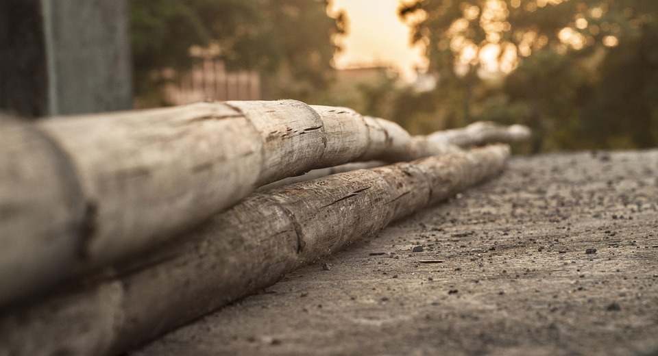 Dead Wood Artistic Conception - Free photo on Pixabay - Pixabay