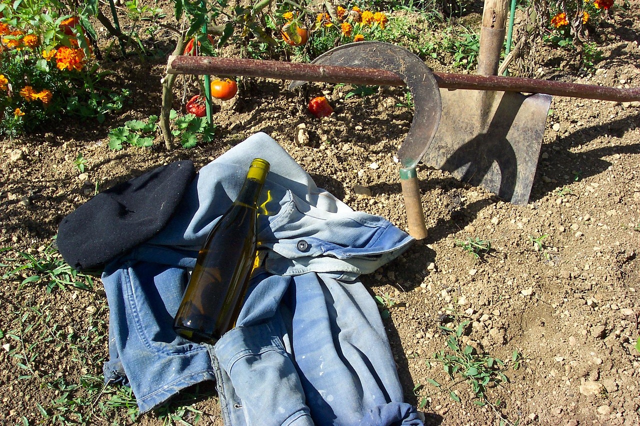 Field Garden Gardener - Free photo on Pixabay - Pixabay