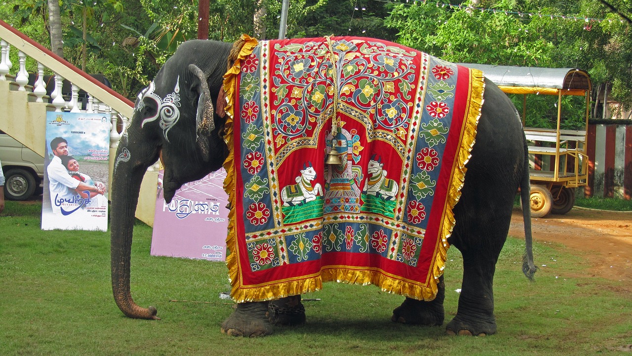 Tempel Olifant India Hindoeïsme - Gratis foto op Pixabay - Pixabay