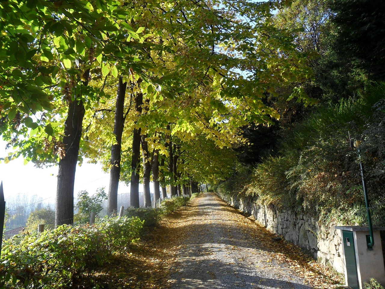 Jalan Mendaki - Foto gratis di Pixabay - Pixabay
