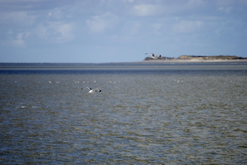 North Sea Water - Free photo on Pixabay - Pixabay