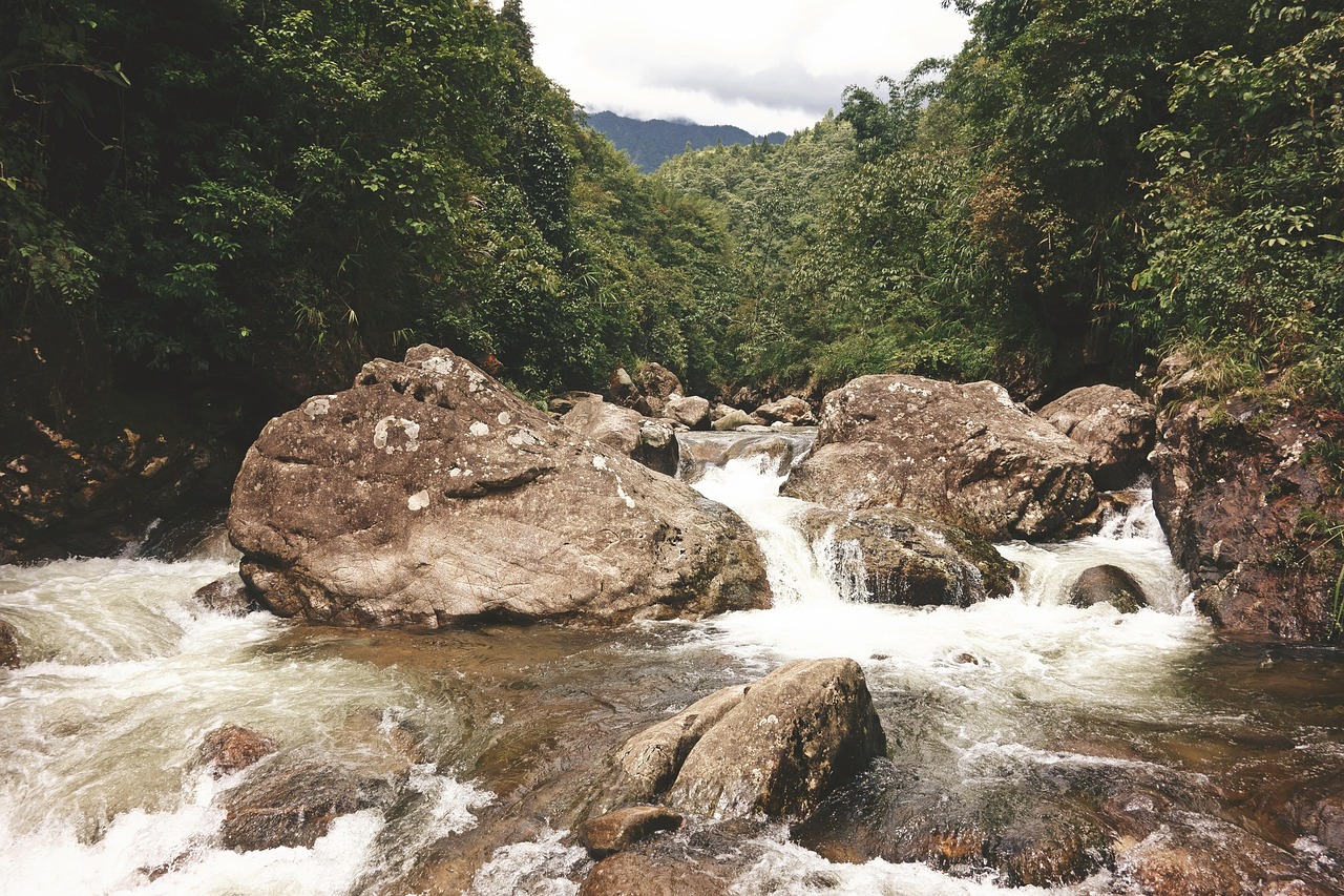 Wild River Water - Free photo on Pixabay - Pixabay