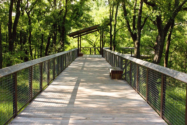 Nature Landscape Bridge Perspective