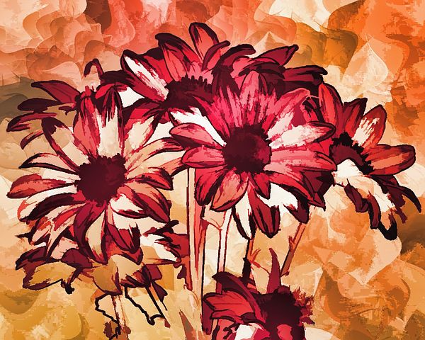5,000+ Free Digital Backdrop & Abstract Images - Pixabay