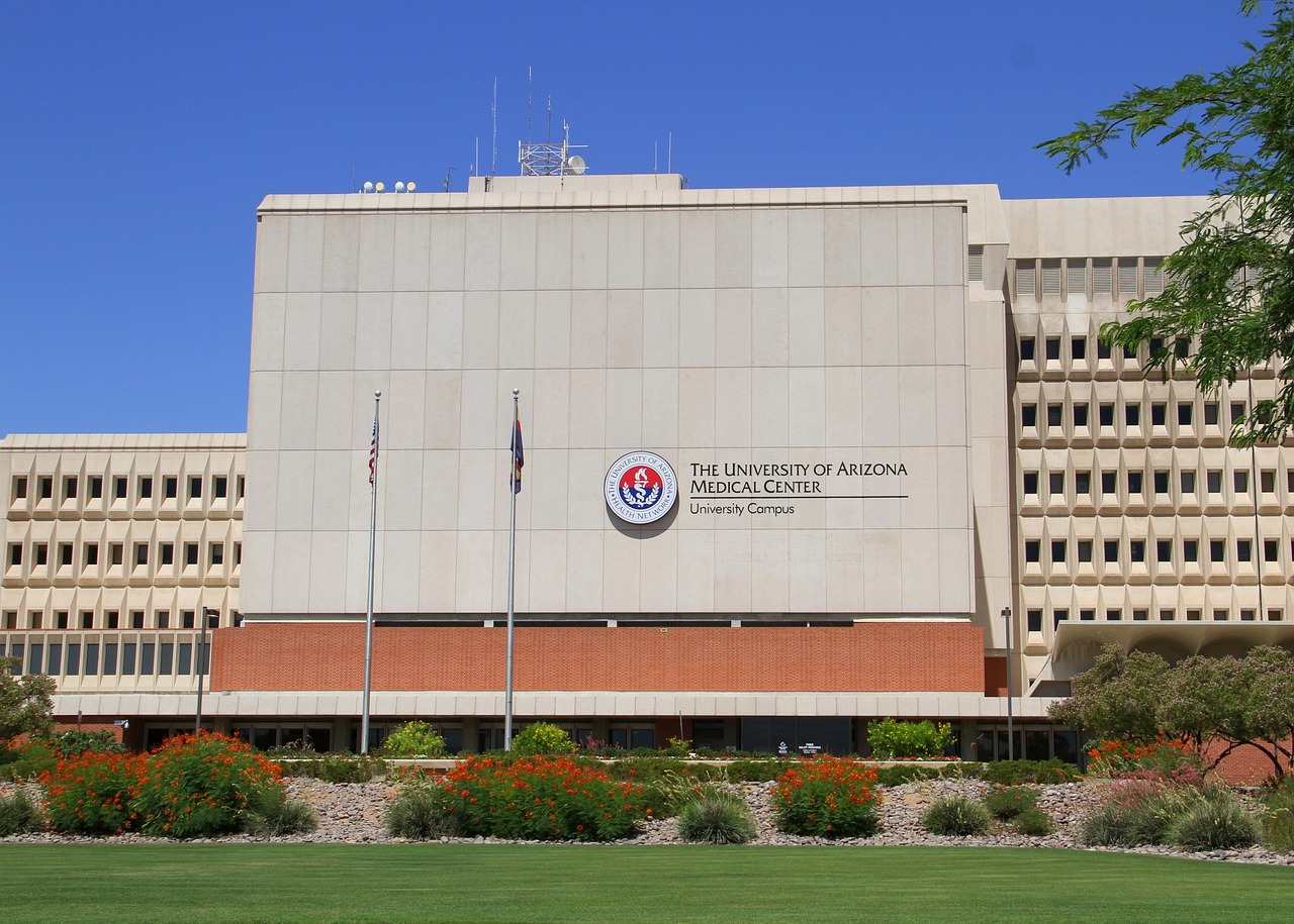 University Of Arizona Uofa - Free photo on Pixabay - Pixabay