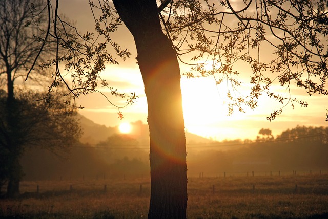 Amanecer Sol Campo - Foto gratis en Pixabay