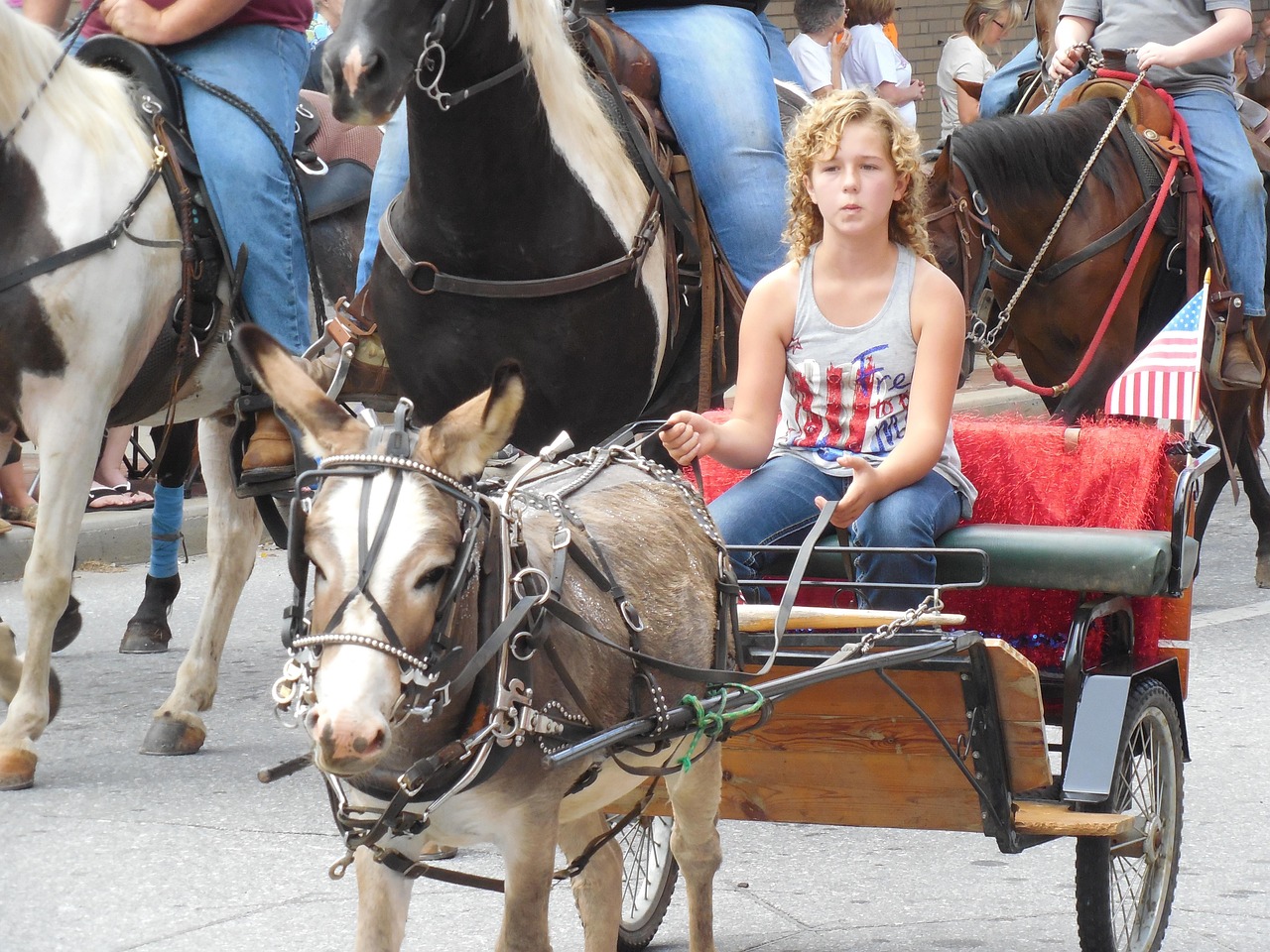 100+ Free Chariot & Horses Images - Pixabay