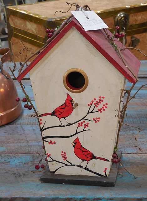 Cardinal Bird House Free Photo On Pixabay Pixabay
