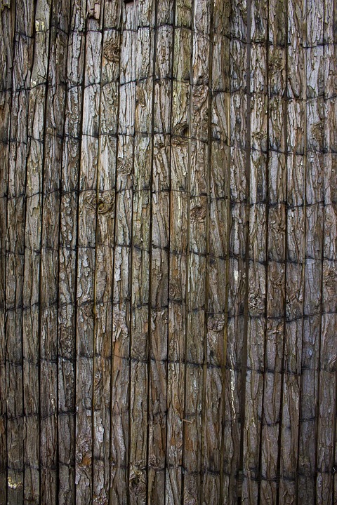 Holz Struktur Textur - Kostenloses Foto auf Pixabay