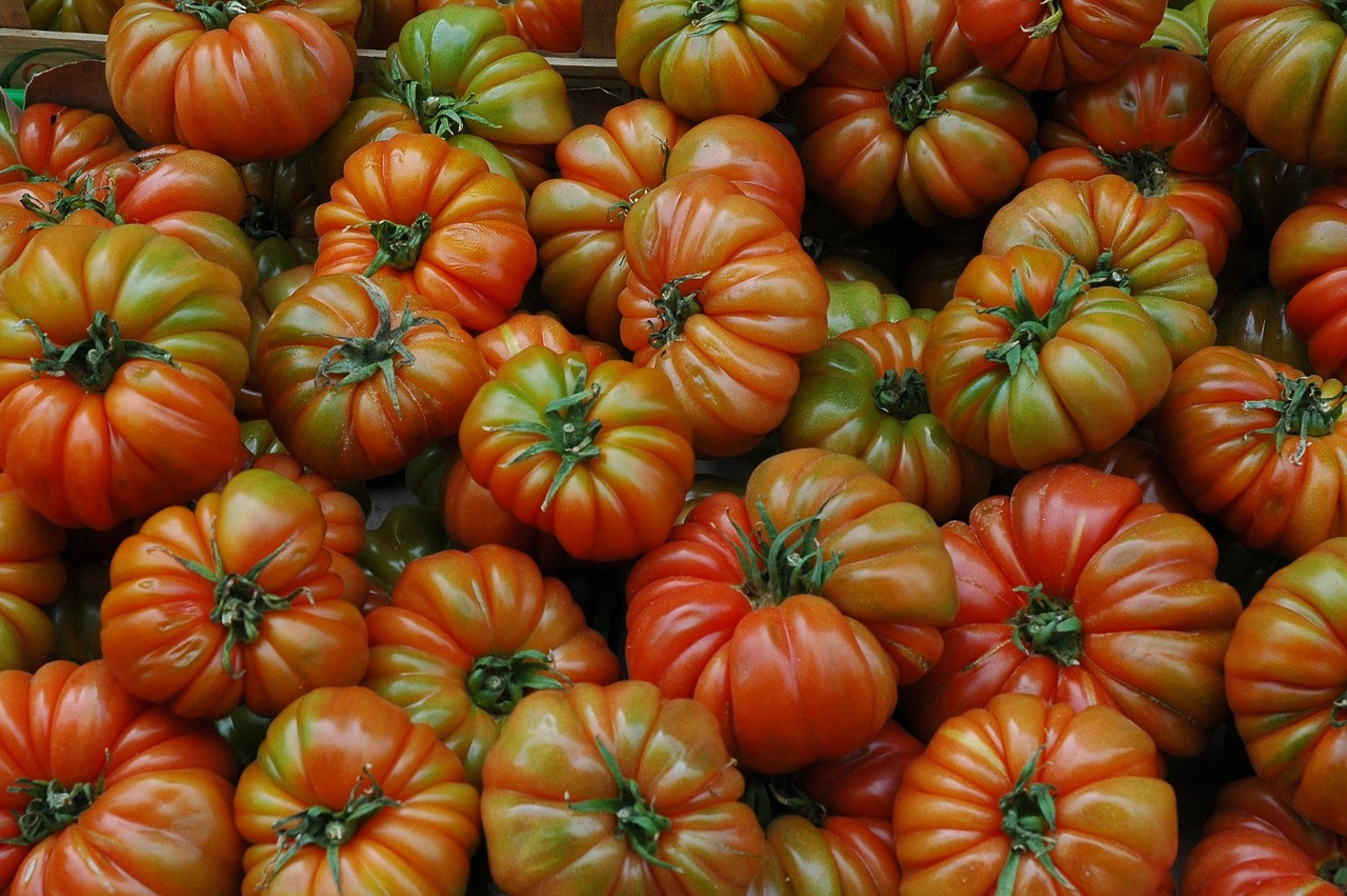 Tomatoes Organic - Free photo on Pixabay