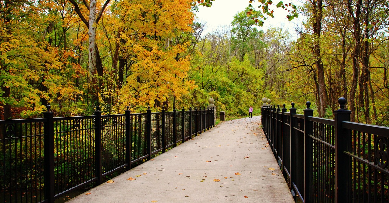 Park Fall Leaves - Free photo on Pixabay - Pixabay