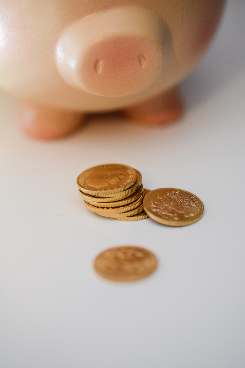 Grisebank Pengeskrin Penger - Gratis foto på Pixabay - Pixabay
