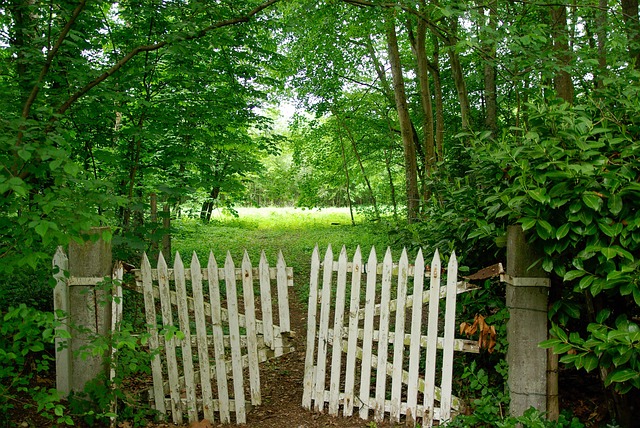 Portal Fencing Fence - Free photo on Pixabay - Pixabay