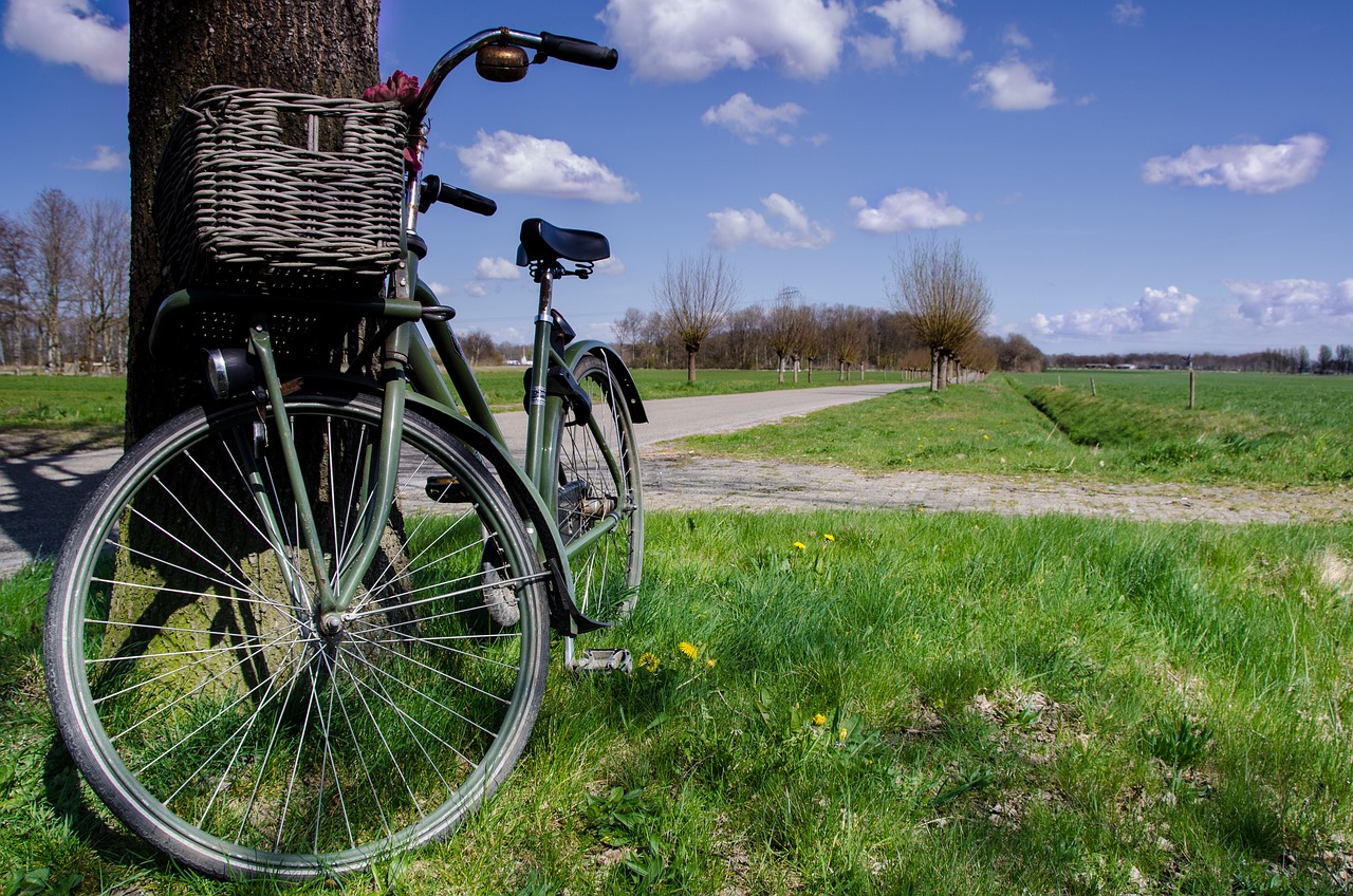 8,000+ Free Bicycle & Bike Images - Pixabay