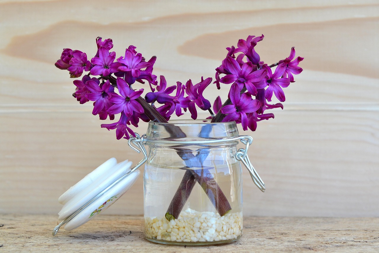 100+ Free Mason Jar & Jar Images - Pixabay