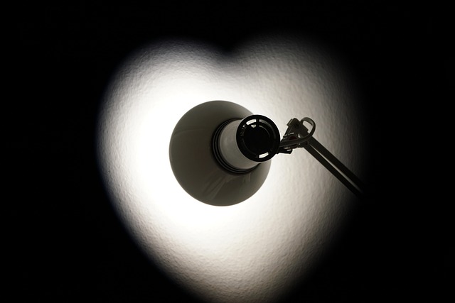 100,000+ Free Spot-Light & Spotlight Images - Pixabay