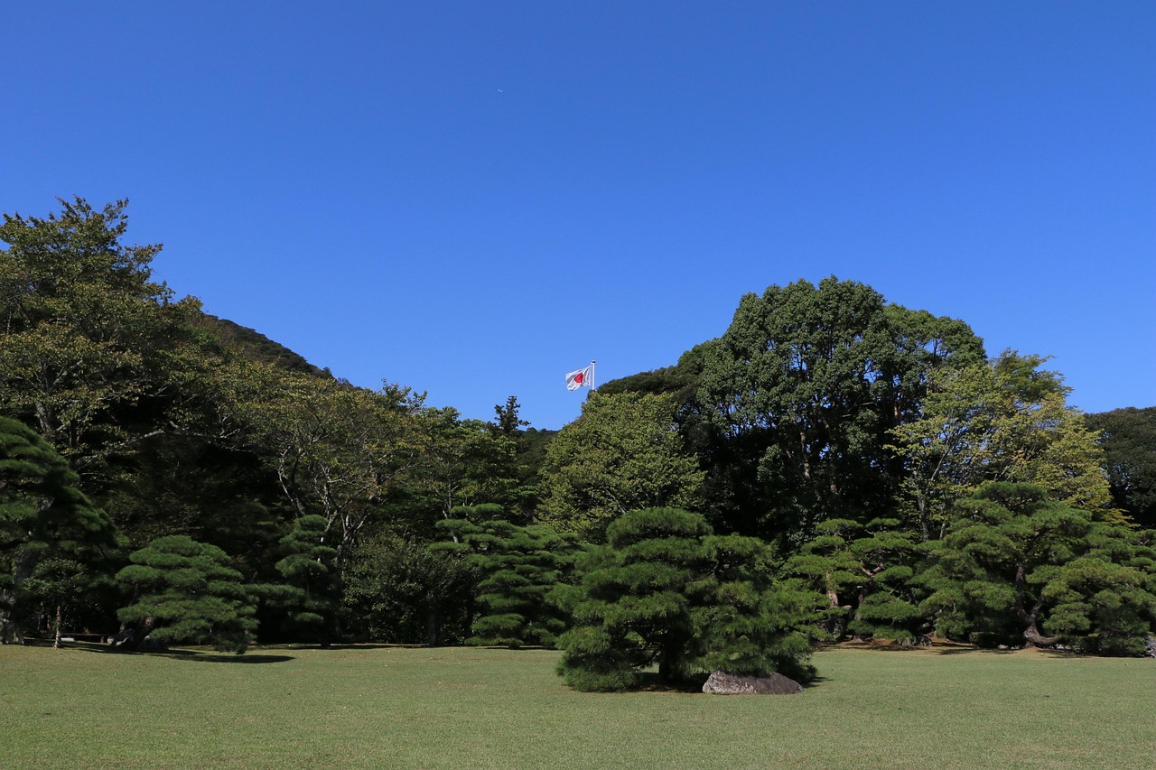 Japan Flag Woods - Free photo on Pixabay