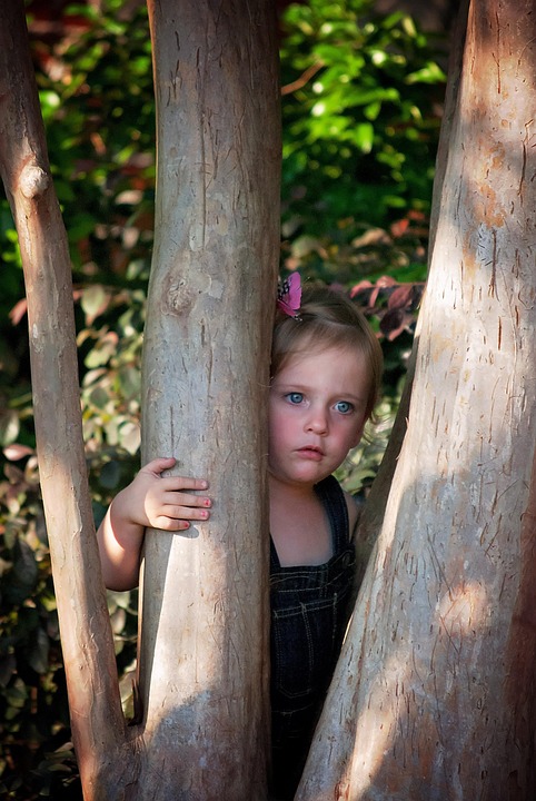 Girl Looking Tree - Free photo on Pixabay