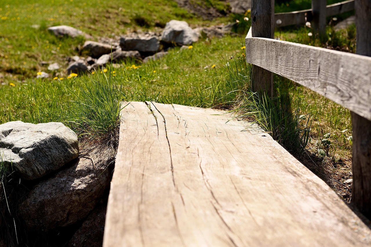 Sendero Deshecho Malecón - Foto gratis en Pixabay - Pixabay