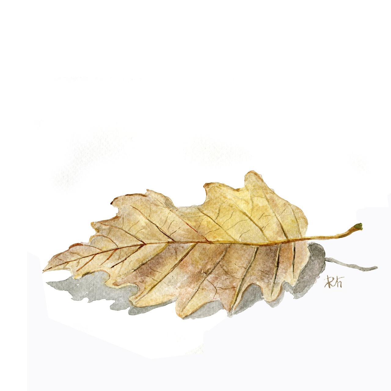 Watercolor Leaf Autumn Free Photo On Pixabay Pixabay