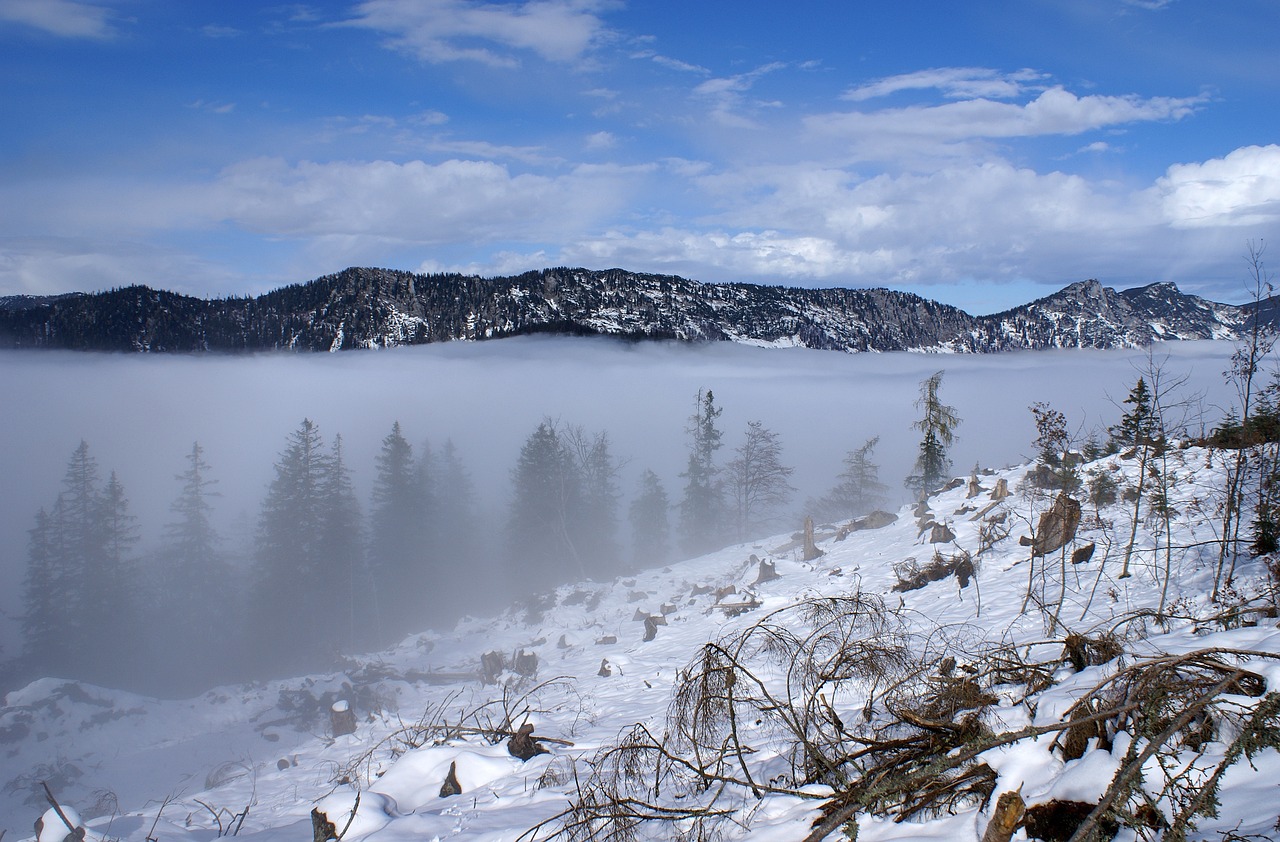 Montagnes Brouillard Forêt - Photo gratuite sur Pixabay - Pixabay