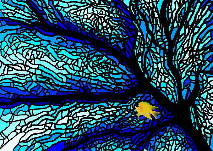400+ Free Sea Glass & Sea Images