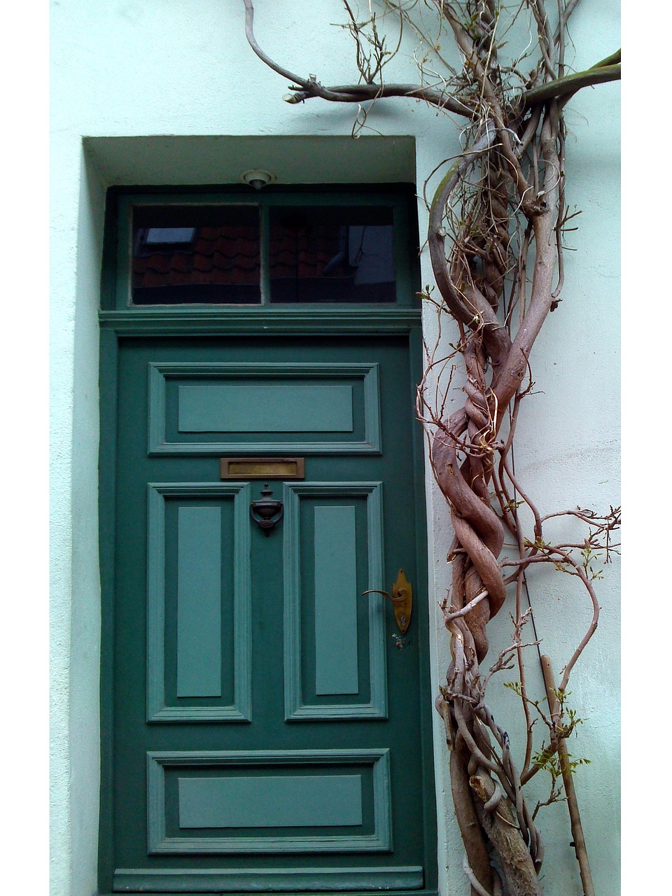 Door Tree House Front - Free photo on Pixabay - Pixabay