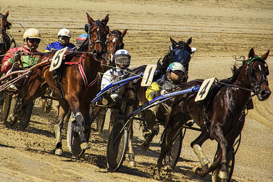 Sporty Fight Harness Racing Run - Free photo on Pixabay - Pixabay