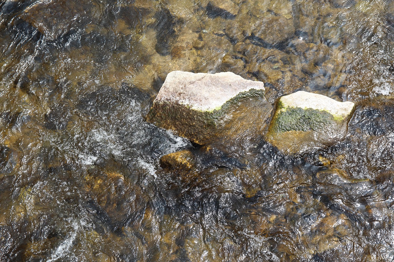 Brook Water Nature - Free photo on Pixabay - Pixabay