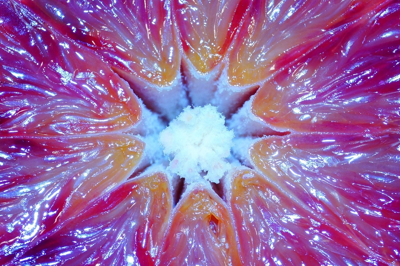 Citrus Fruits Grapefruit Blood - Free photo on Pixabay
