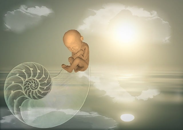 Download Child, Birth, Shell. Royalty-Free Stock Illustration Image ...