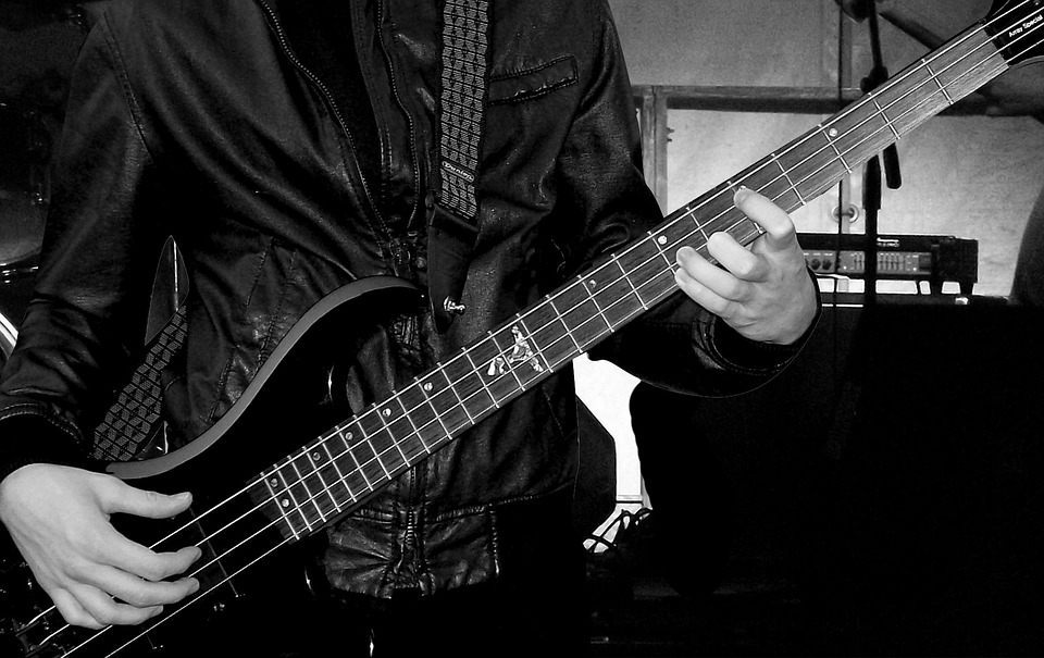 Musician Electric Bass Concert - Free photo on Pixabay