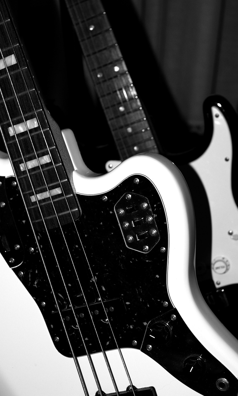 3,000+ Free Bass Guitar & Guitar Images - Pixabay