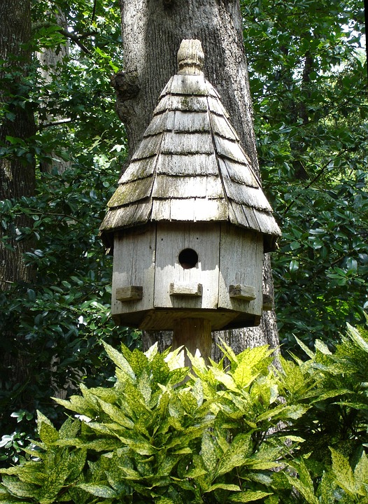 Birdhouse Nature - Free photo on Pixabay