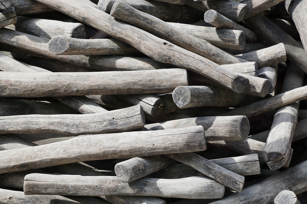 Wood Tree - Free photo on Pixabay - Pixabay