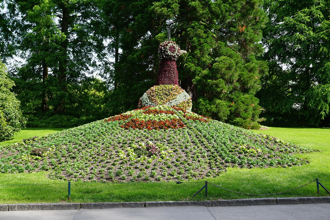 Fleur Paon Mainau La - Photo gratuite sur Pixabay - Pixabay